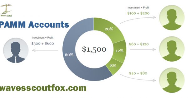 PAMM Accounts, How Forex PAMM Accounts Work - Waves Scuot Forex