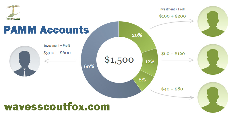 PAMM Accounts, How Forex PAMM Accounts Work - Waves Scuot Forex